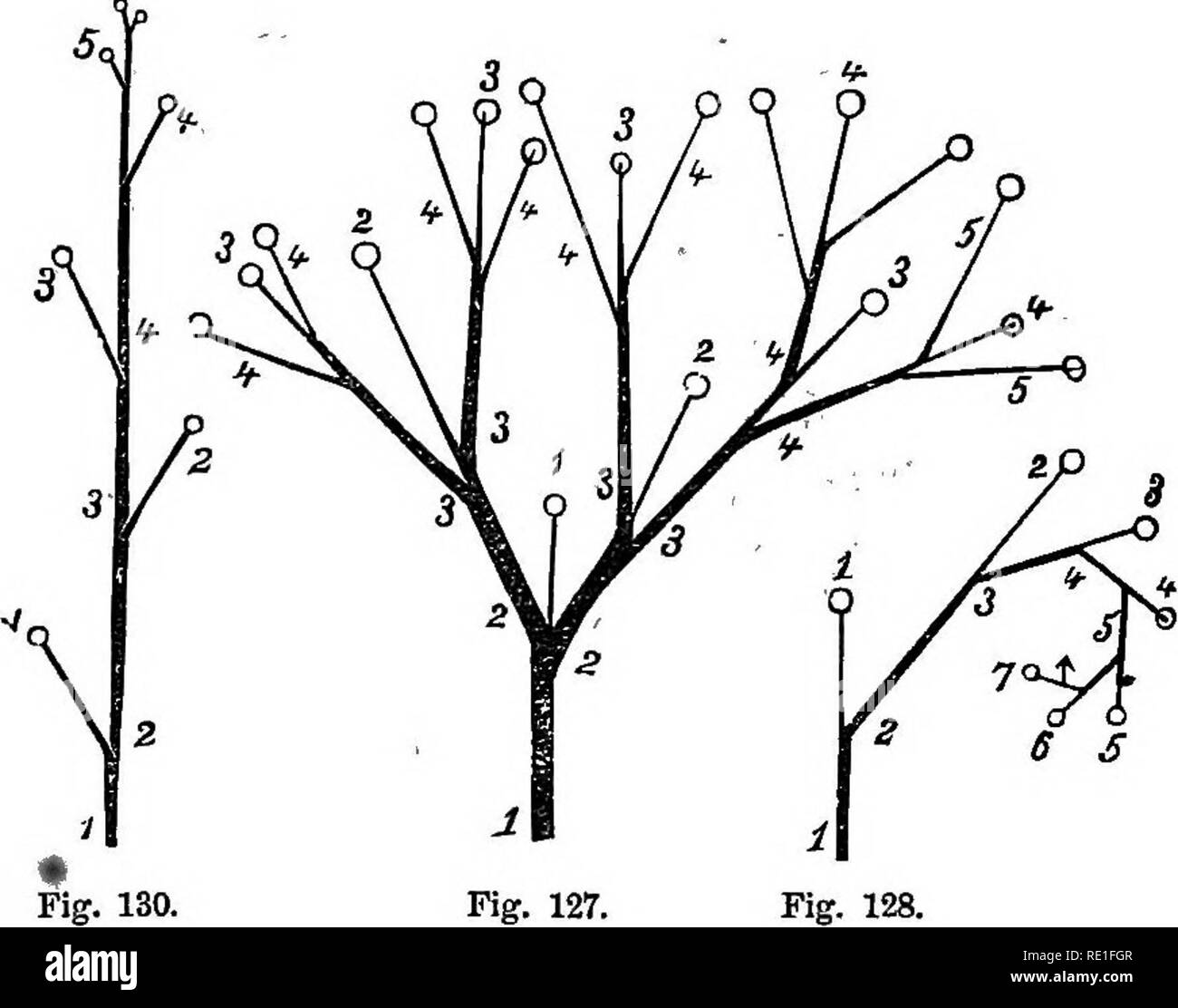 . The elements of structural botany with special reference to the study ...