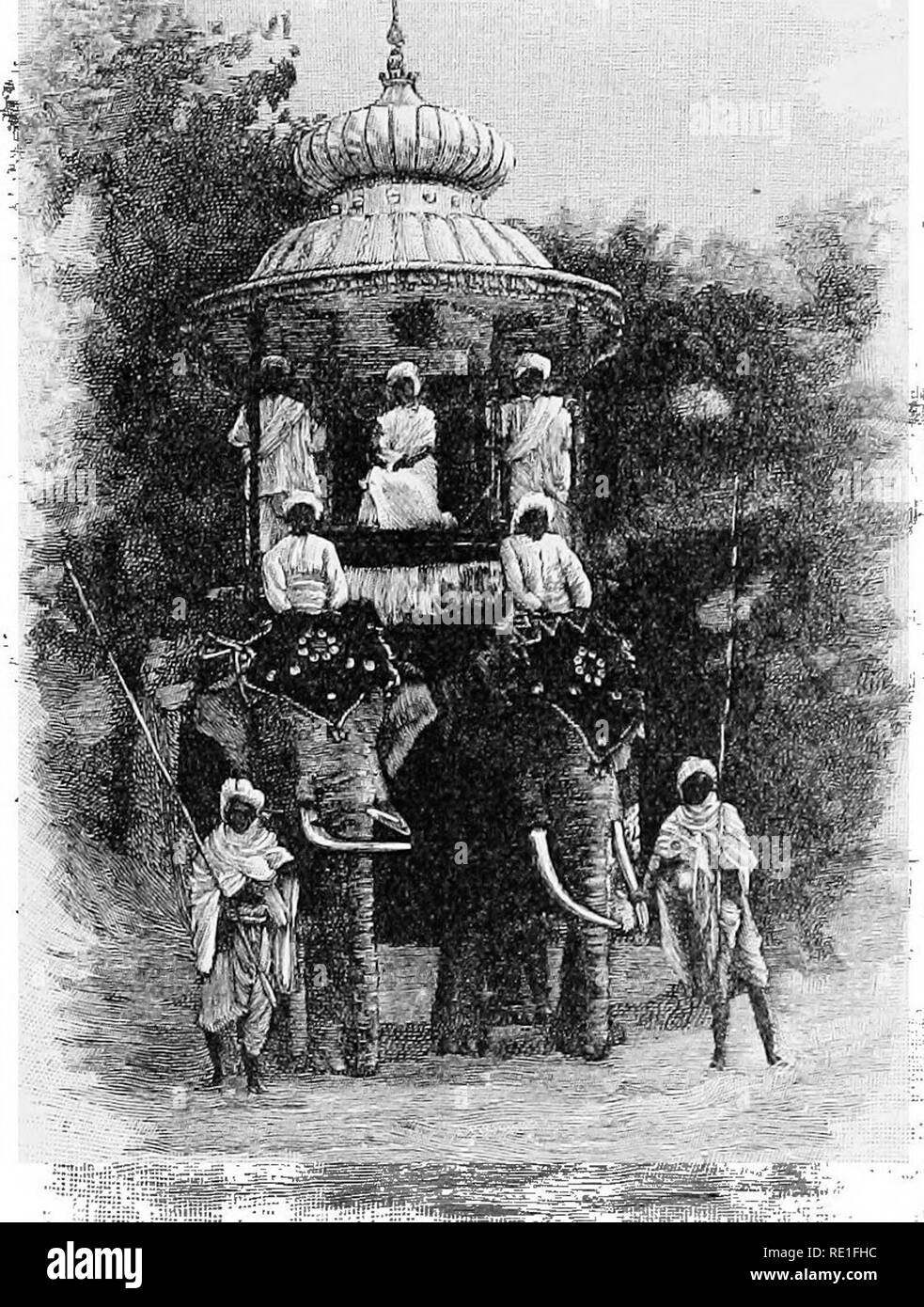 Indian hea Black and White Stock Photos & Images - Alamy