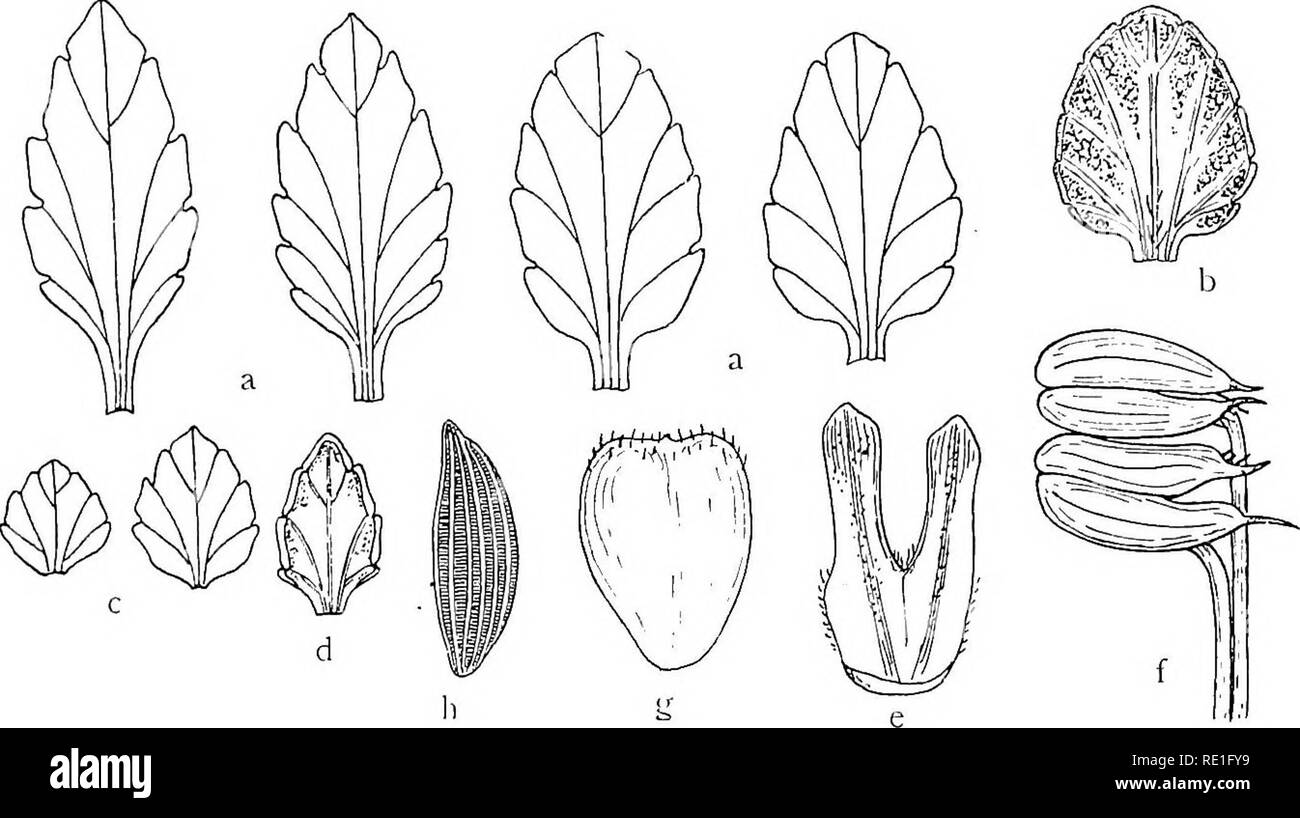 Uni 23 Black and White Stock Photos & Images - Alamy