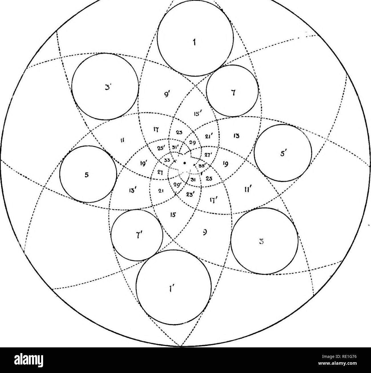 . On the relation of phyllotaxis to mechanical laws. Phyllotaxis ...