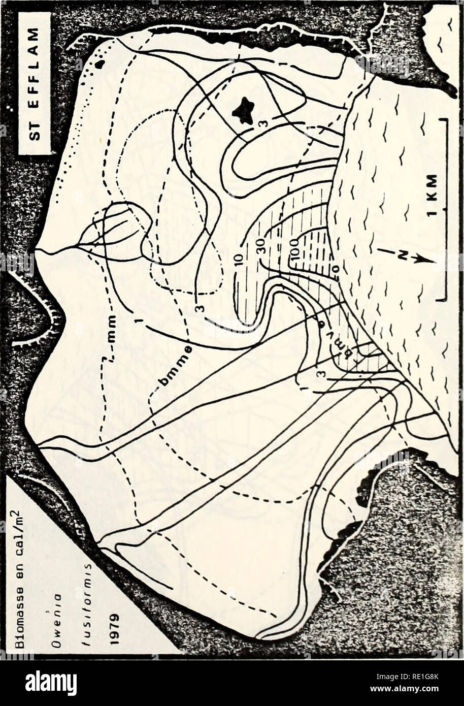 Amoco Cadiz Oil Spill Photography