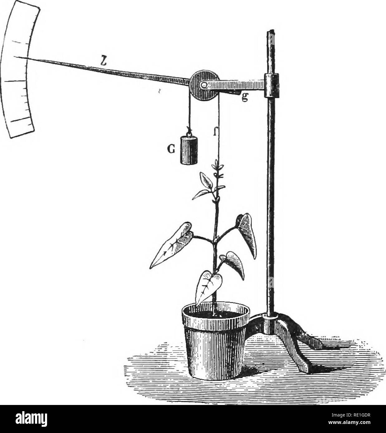 Weight 9 g Black and White Stock Photos & Images - Alamy