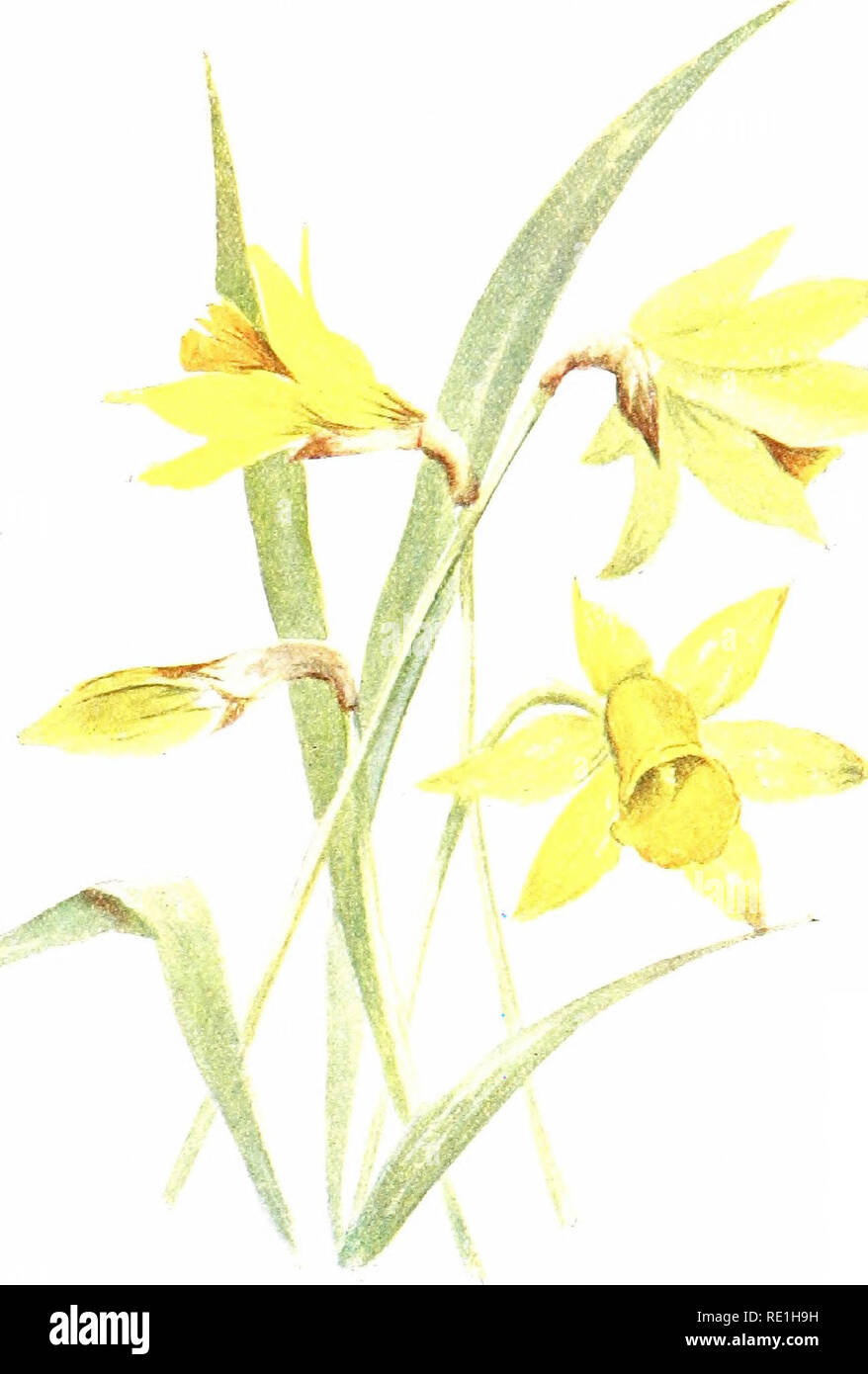 Field r n Cut Out Stock Images & Pictures - Alamy