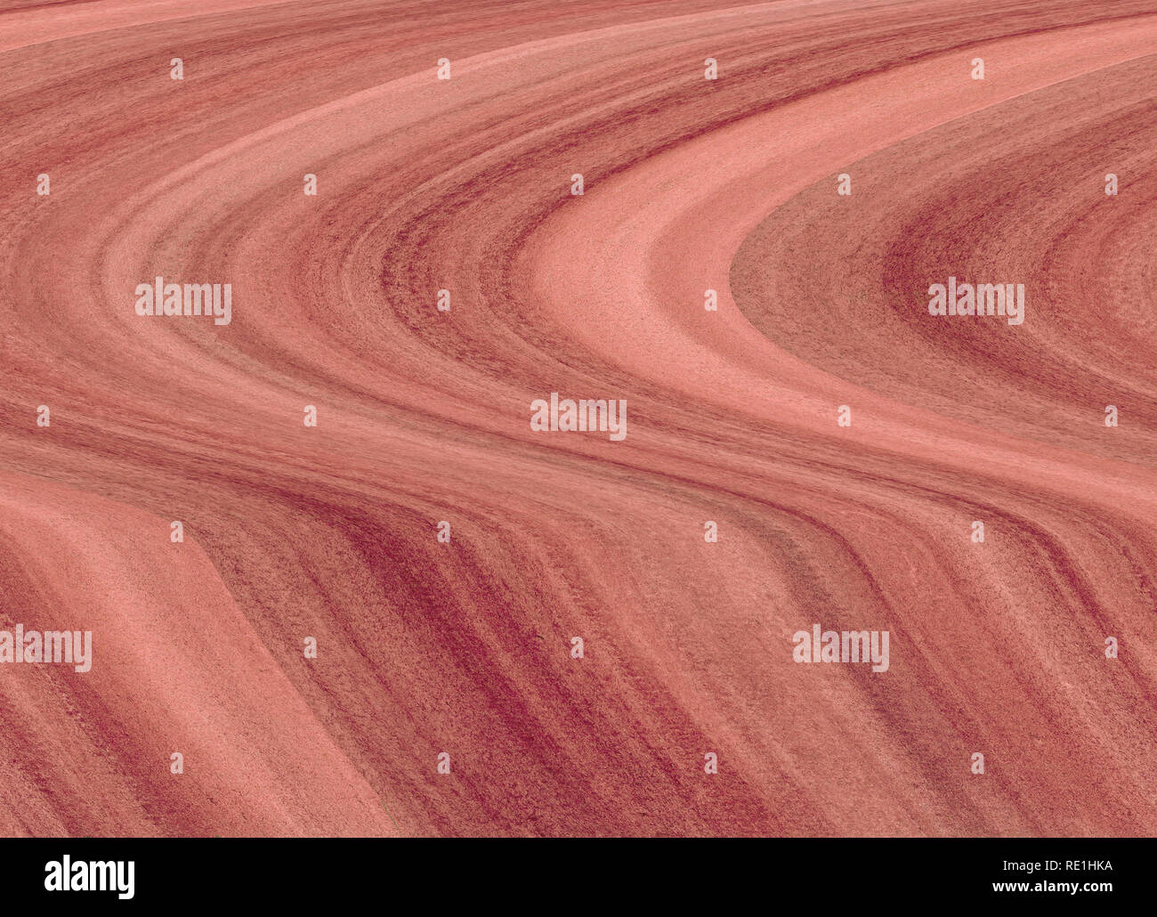 Abstract background with copy space. Curved fields. Living coral Stock ...