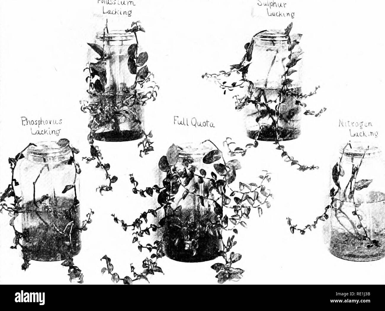 Soda highly Black and White Stock Photos & Images - Alamy