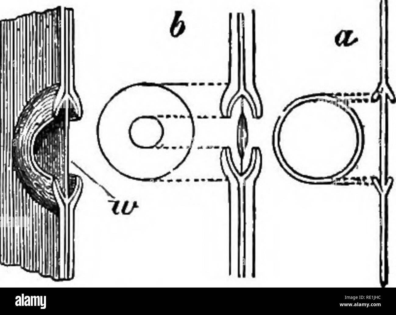 Funnel shaped rim Black and White Stock Photos & Images - Alamy