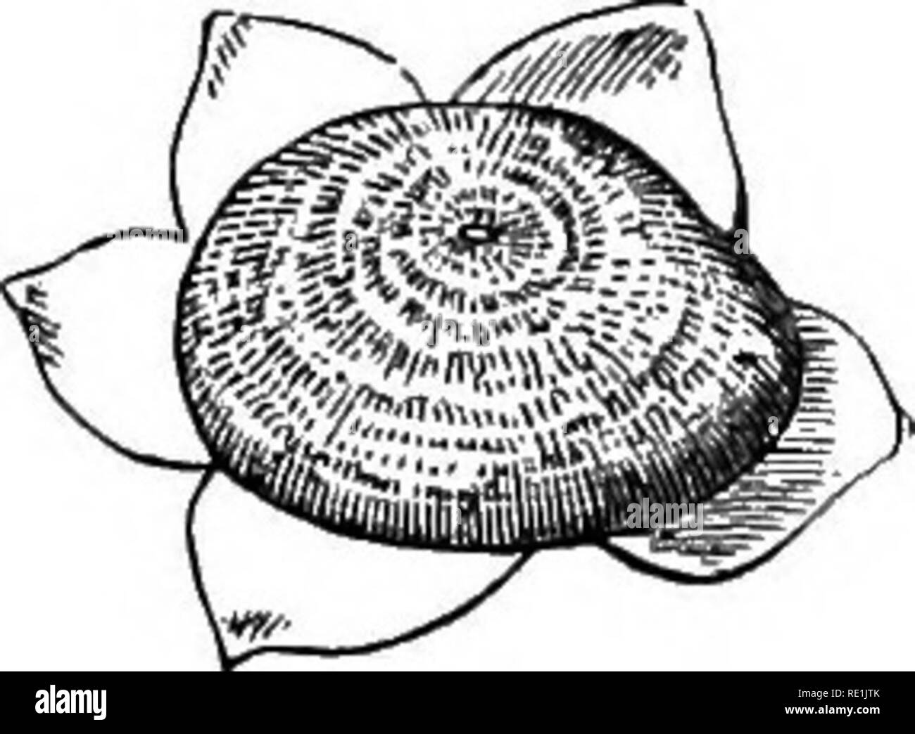 533 535 Cut Out Stock Images & Pictures - Alamy