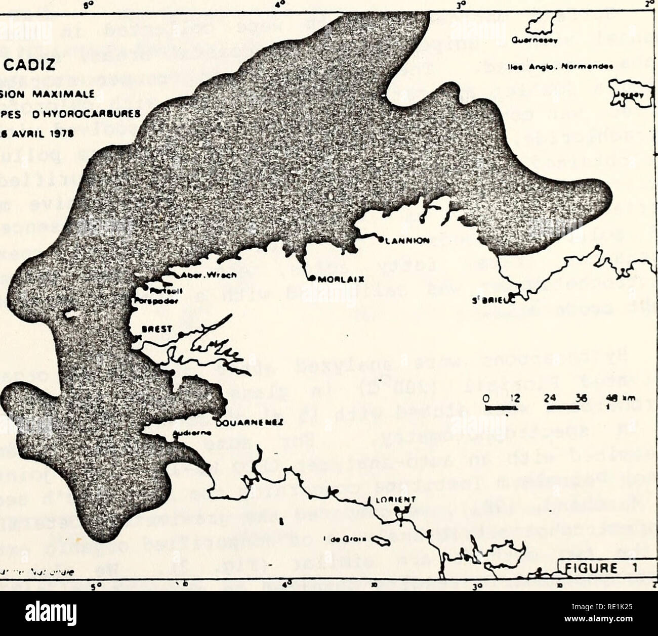 . Ecological study of the Amoco Cadiz oil spill : report of the NOAA ...