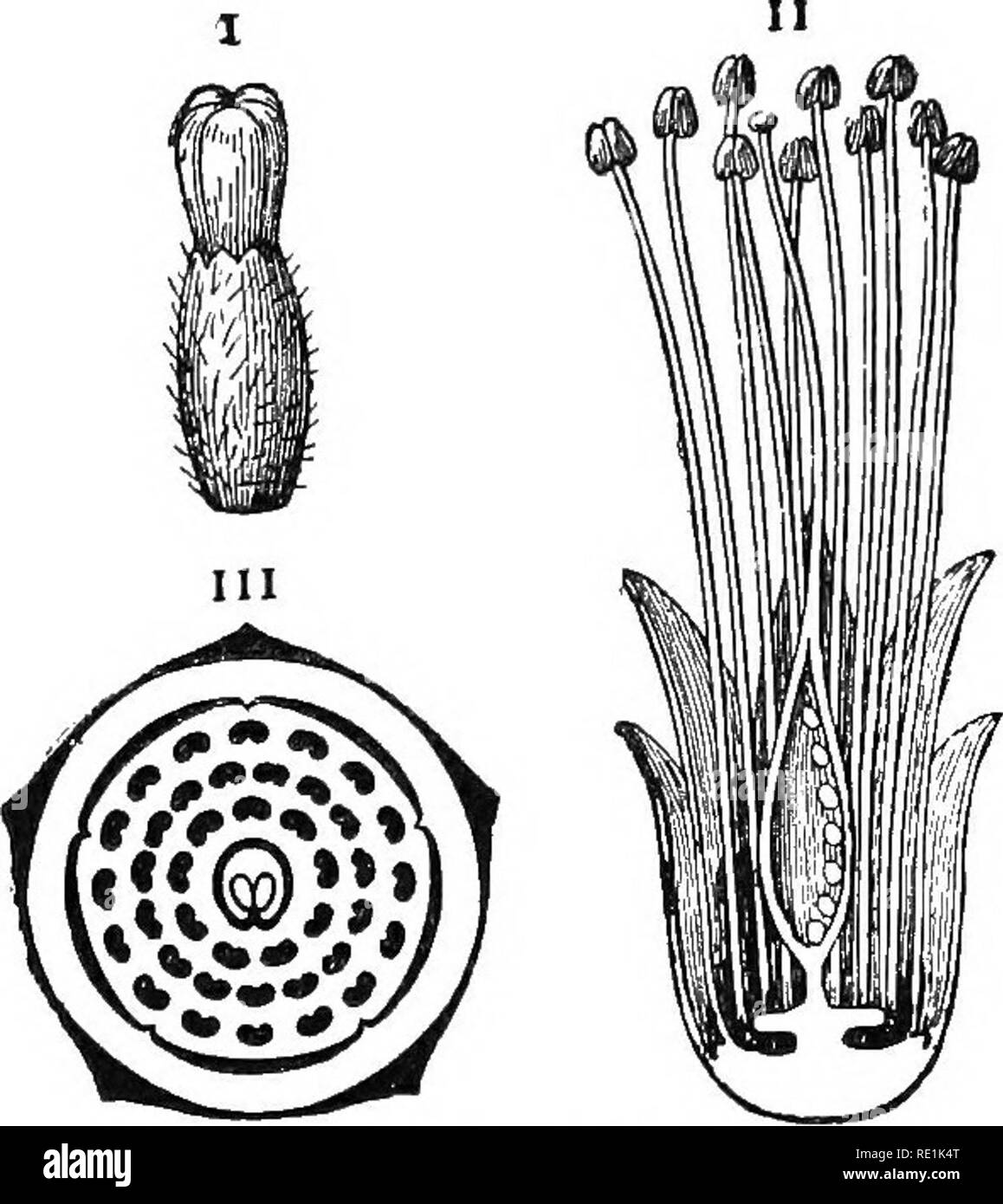 Unicostate hi-res stock photography and images - Alamy