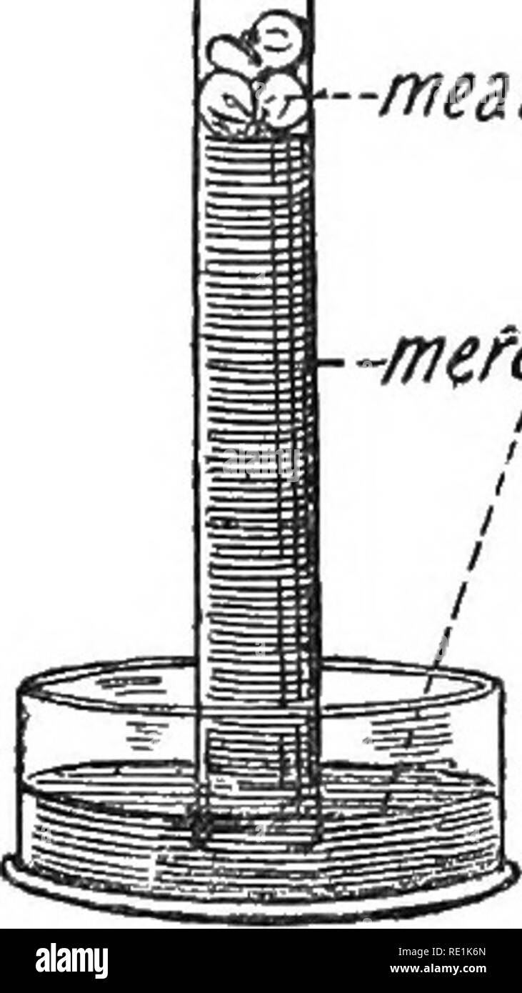 Total parasite Black and White Stock Photos & Images - Alamy