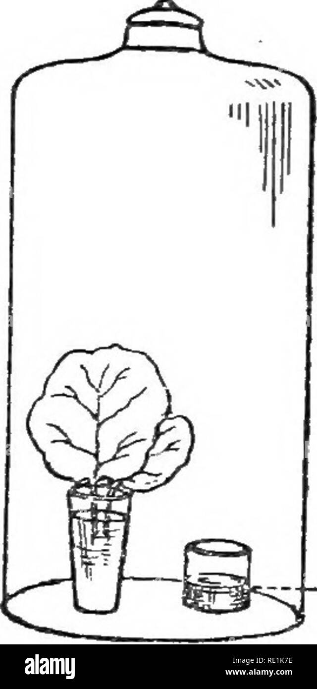 Bell jar experiment hi-res stock photography and images - Alamy