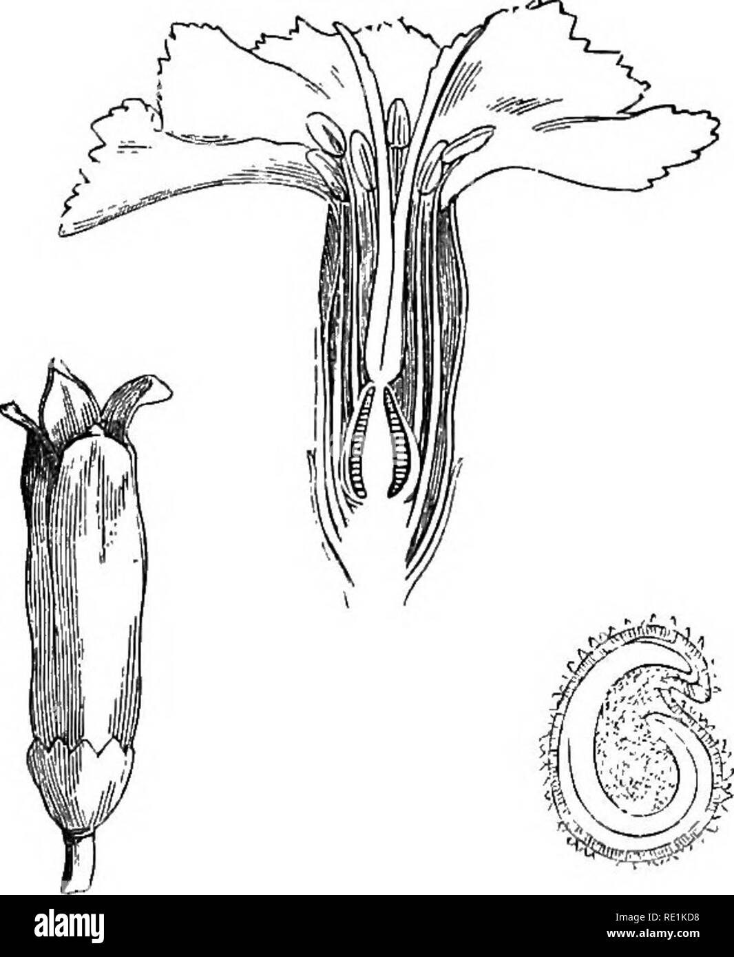 Se 1059 Cut Out Stock Images & Pictures - Alamy