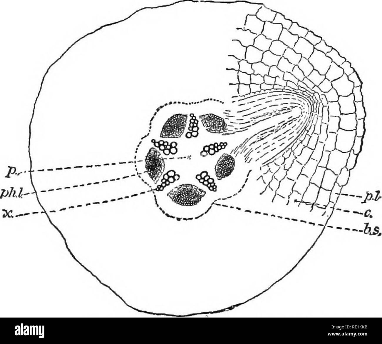 Koot out hi-res stock photography and images - Alamy