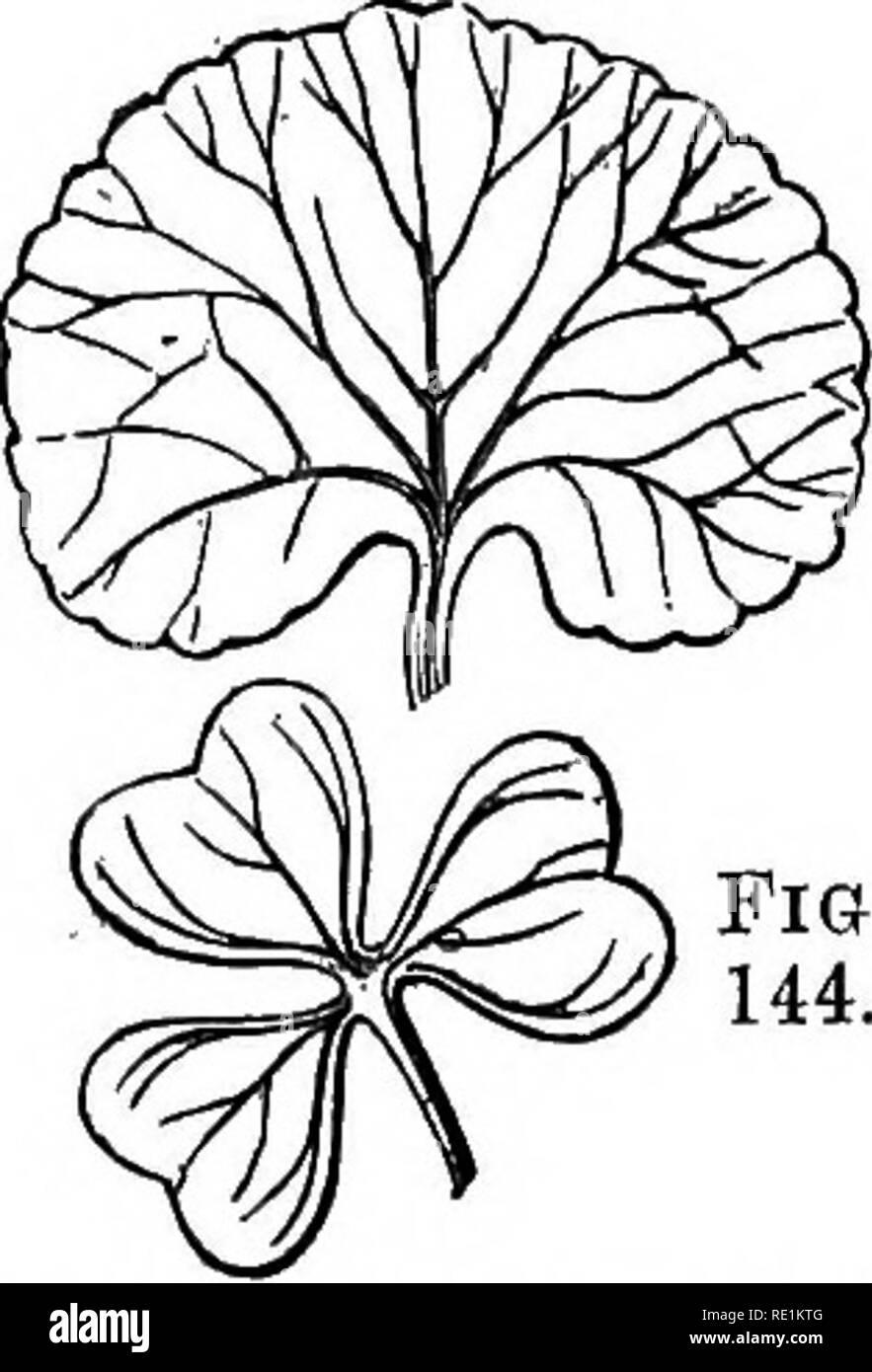 In figs marsh Black and White Stock Photos & Images - Alamy