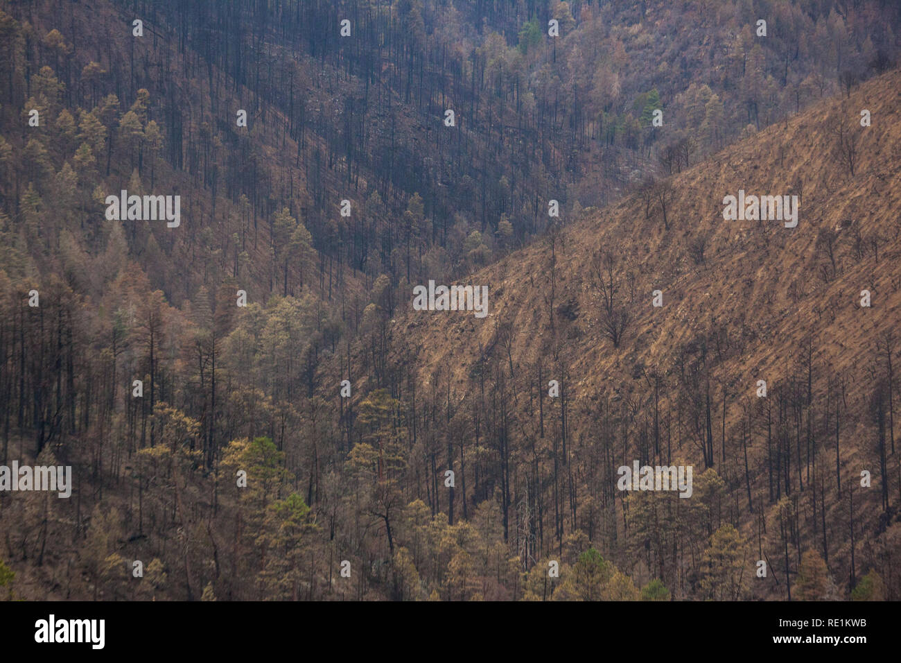 Black range hi-res stock photography and images - Alamy