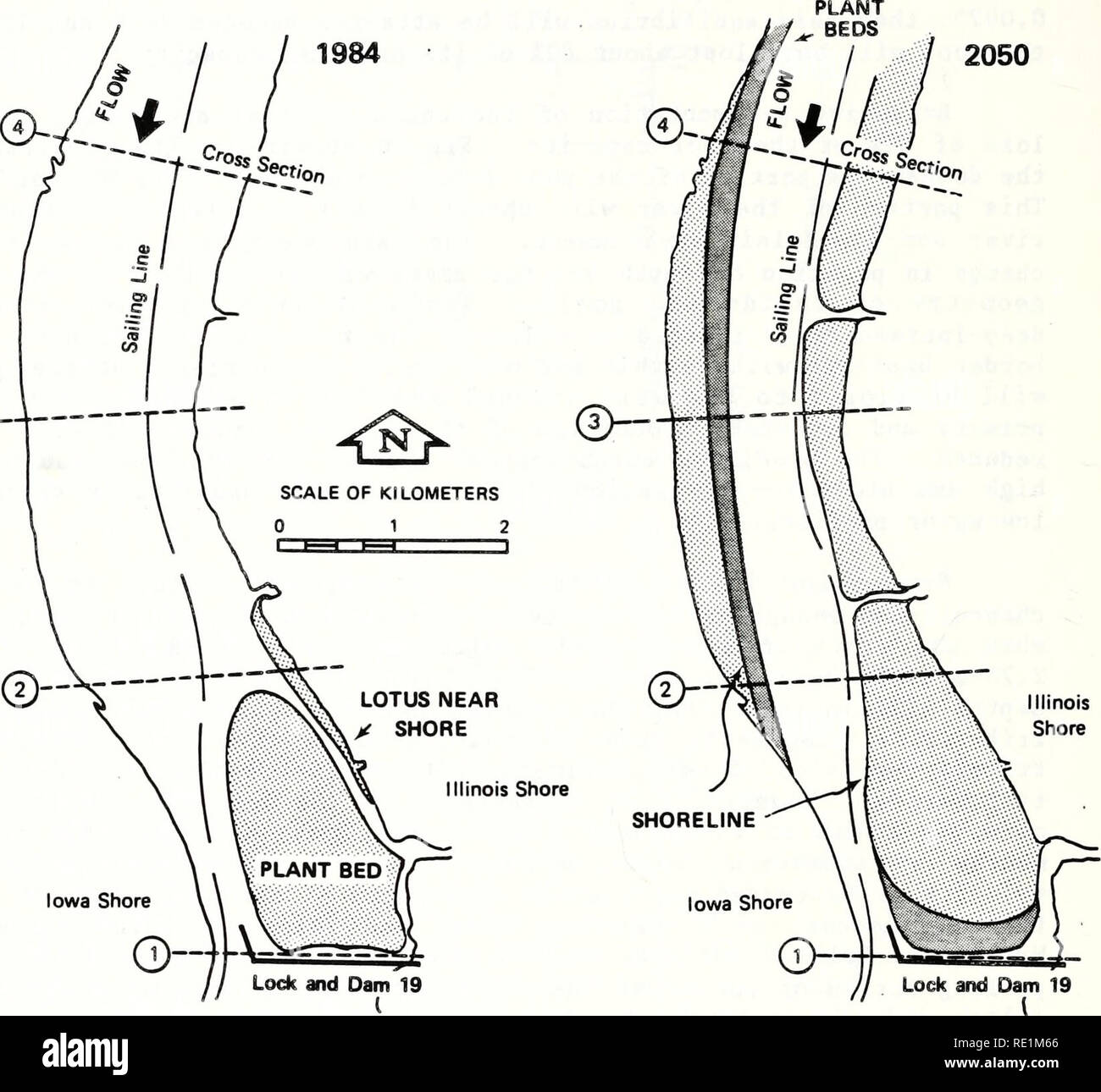 vertical and horizontal ecological structures