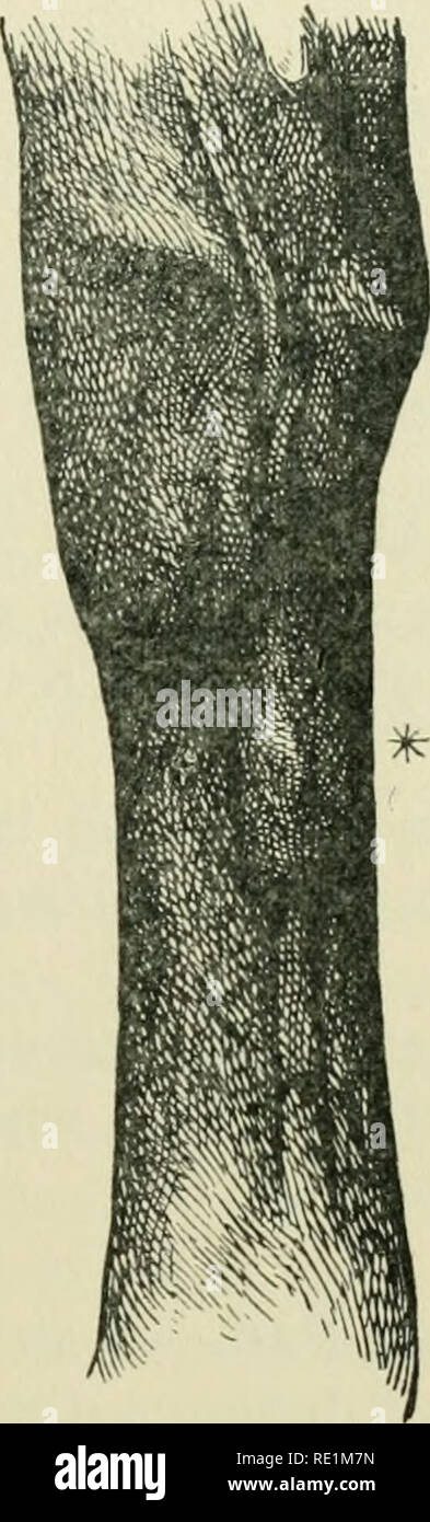 Stable iodine hi-res stock photography and images - Alamy