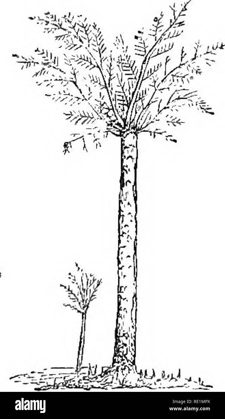 Renit hi-res stock photography and images - Alamy