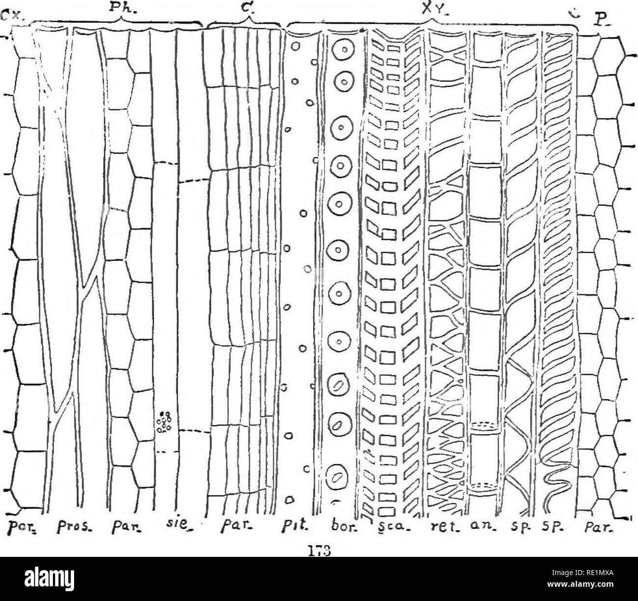 Simple pits Black and White Stock Photos & Images - Alamy