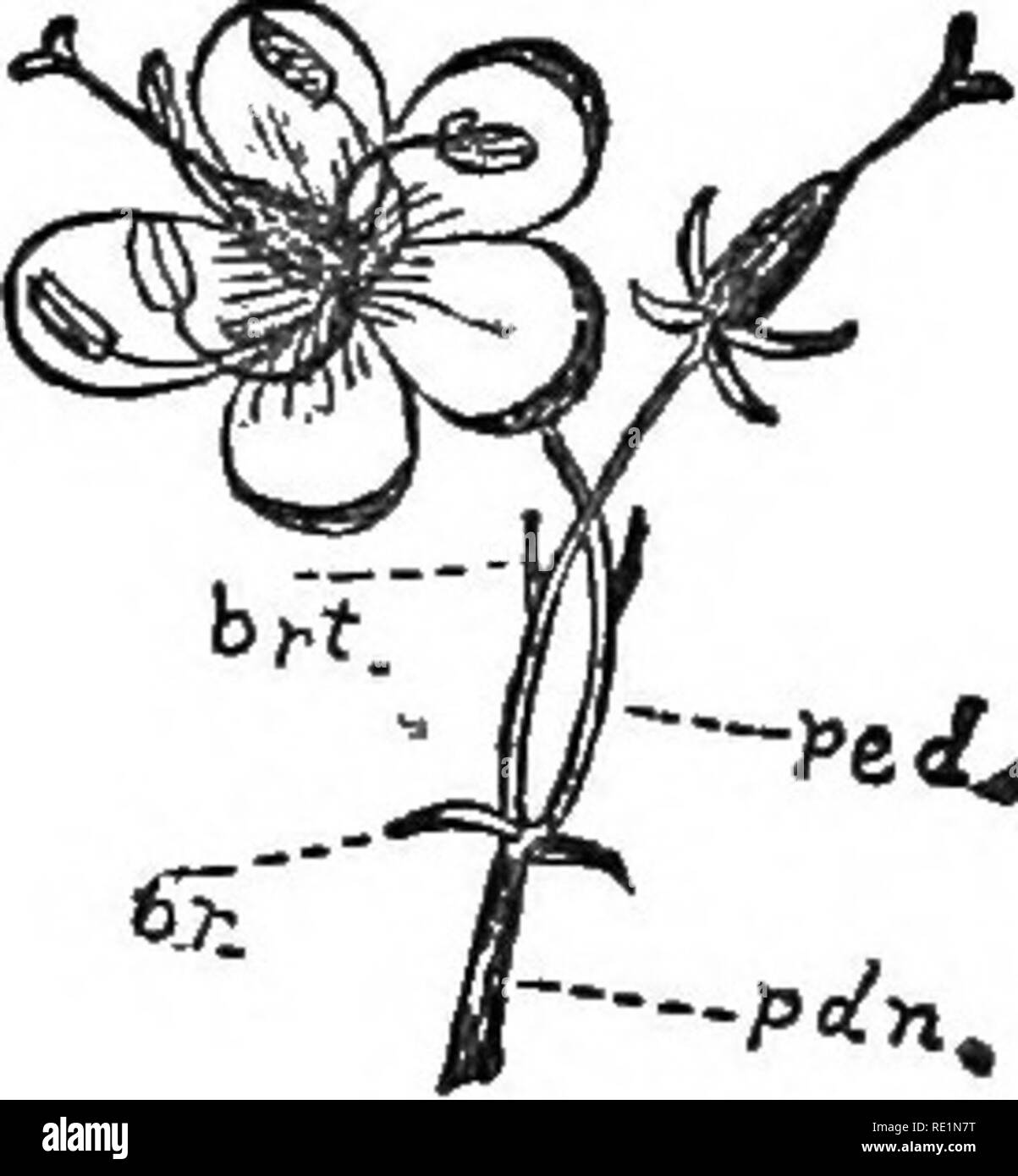 Systematic joints Cut Out Stock Images & Pictures - Alamy