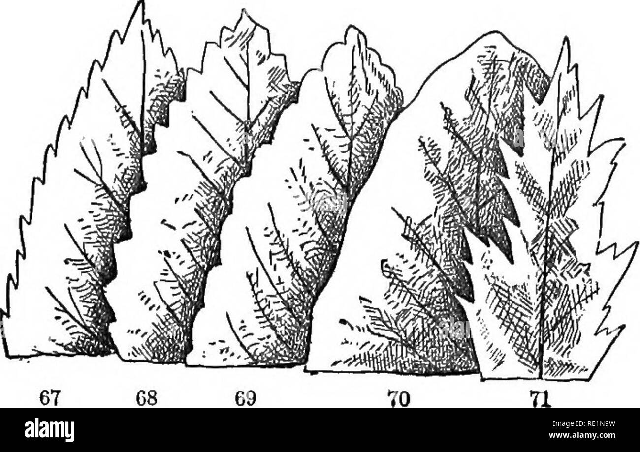 Systematic number Cut Out Stock Images & Pictures - Alamy