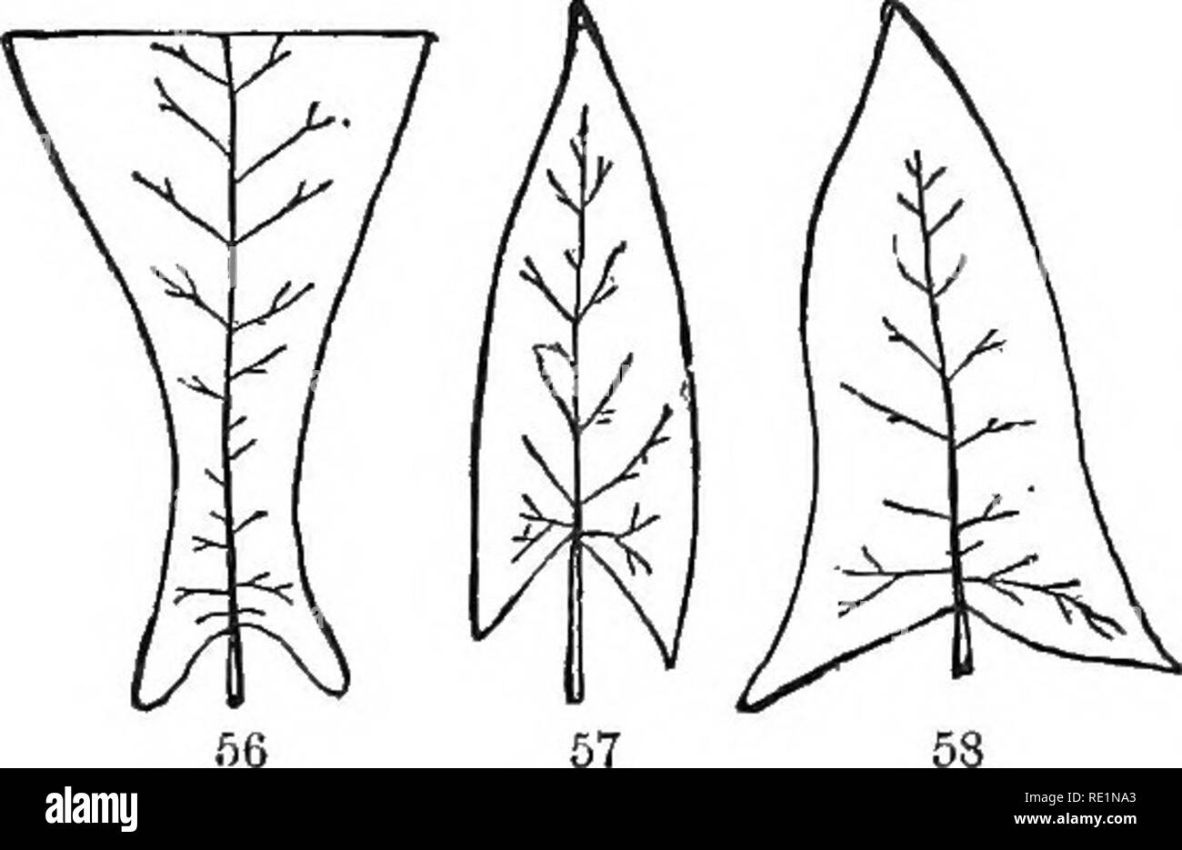 Obtuse angle Black and White Stock Photos & Images - Alamy