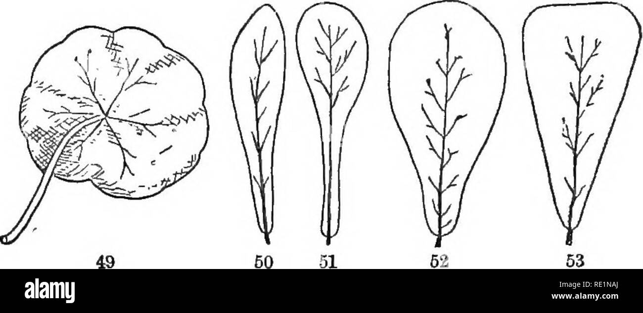 44 44 lan hi-res stock photography and images - Alamy