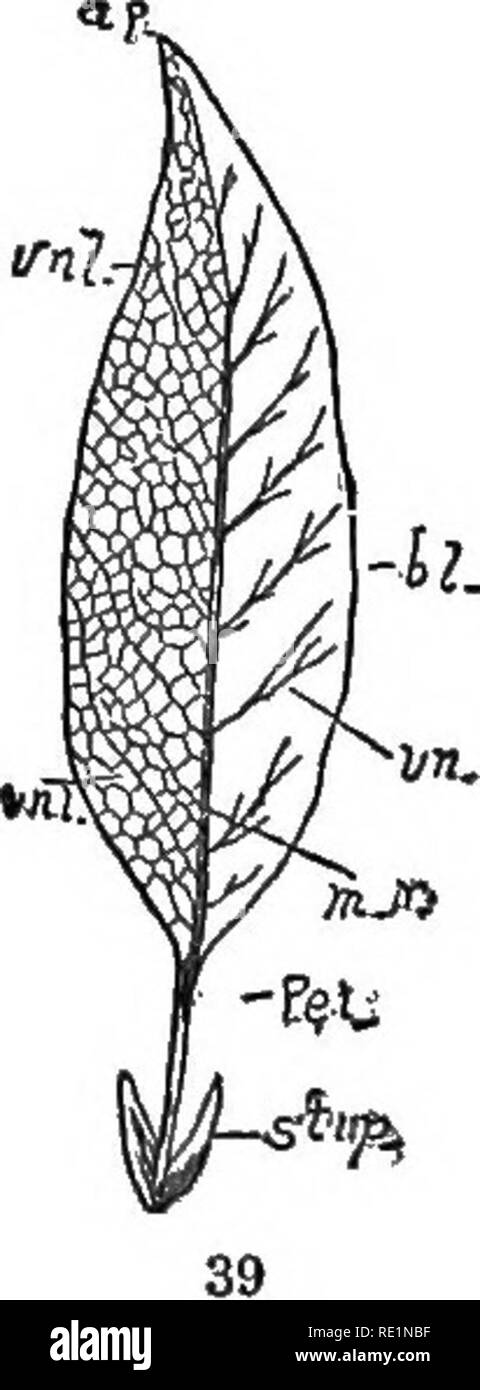 N 38 35 35 Black and White Stock Photos & Images - Alamy