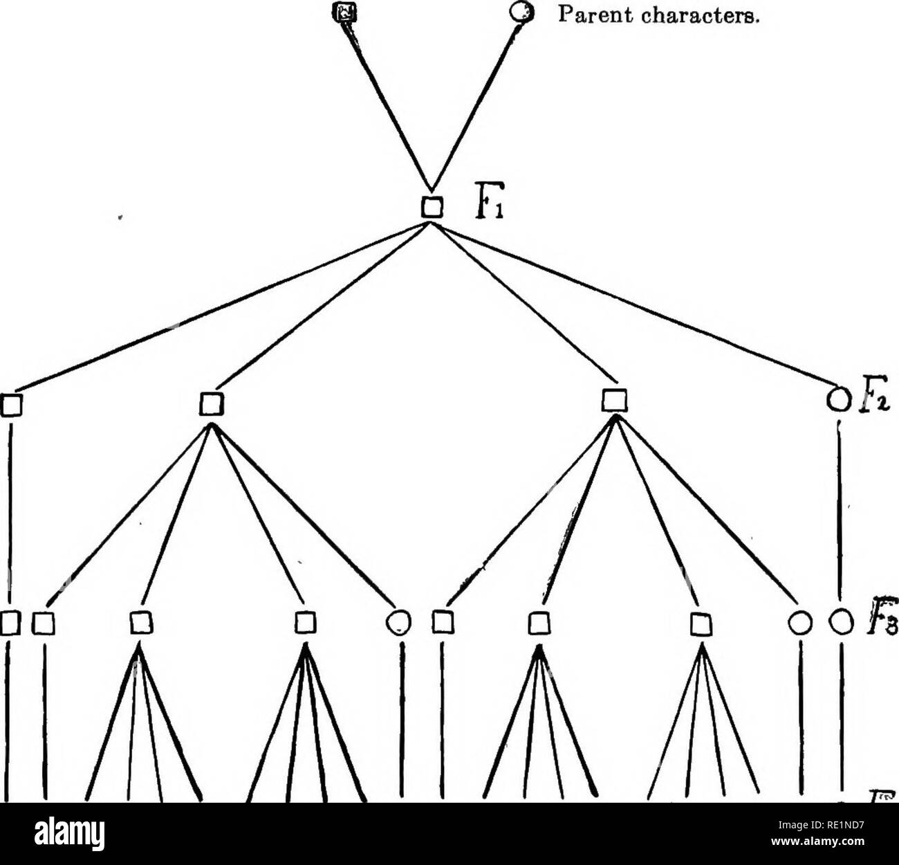 . College botany; structure, physiology and economics of plants. Botany ...