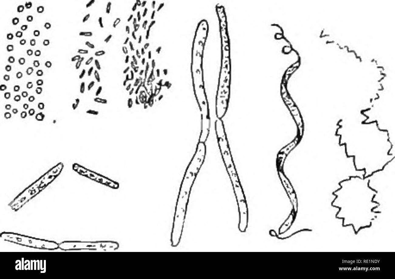 Oblong cylindrical Black and White Stock Photos & Images - Alamy