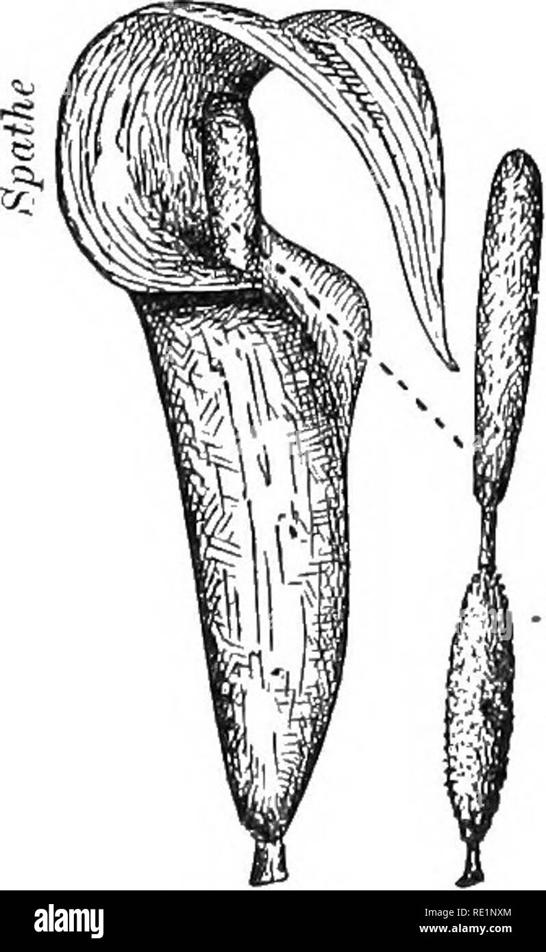 Can be modified material hi-res stock photography and images - Alamy