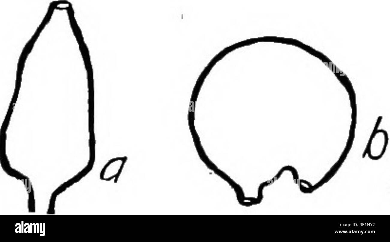 Funicle hi-res stock photography and images - Alamy