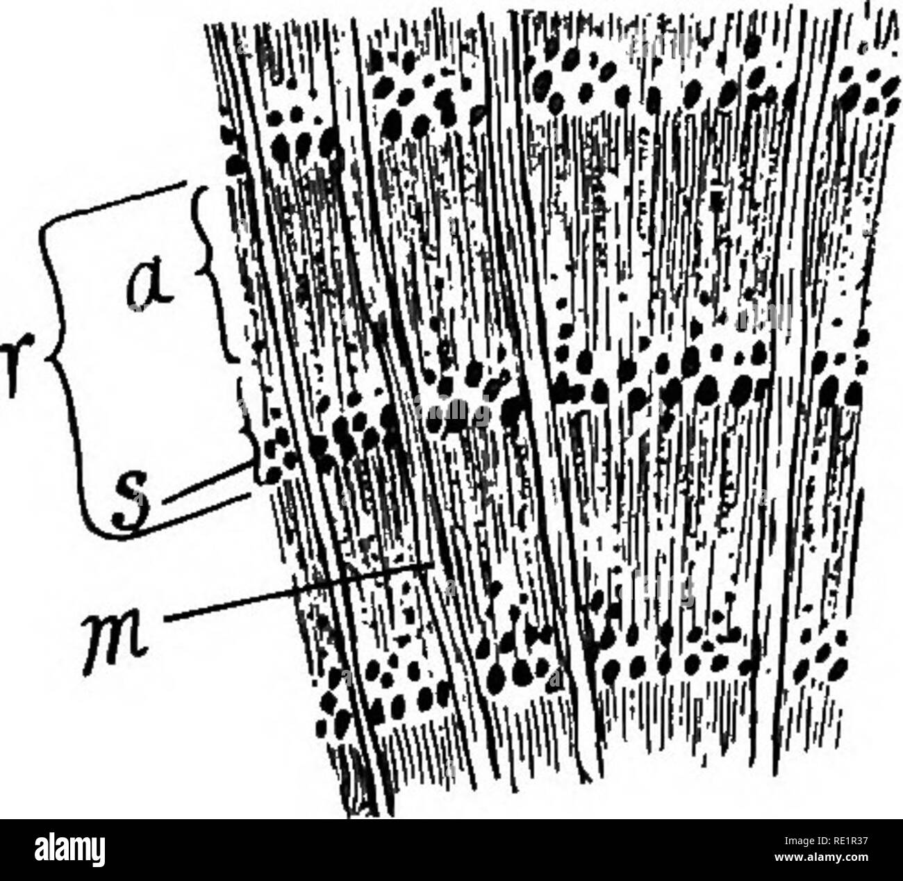 Radial bands hi-res stock photography and images - Alamy