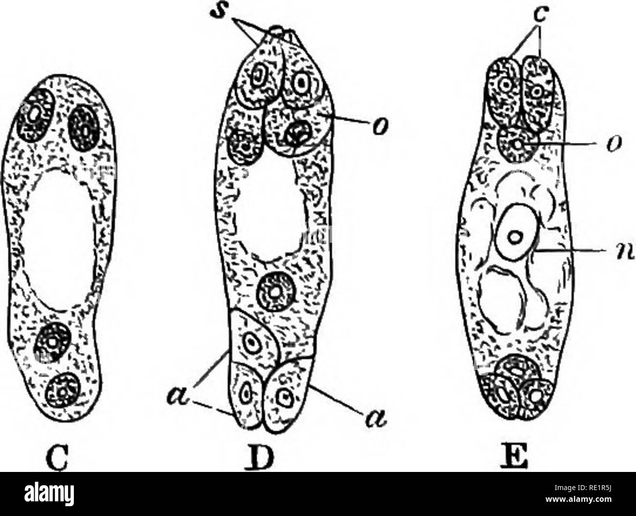 Than that which divides us Black and White Stock Photos & Images - Alamy