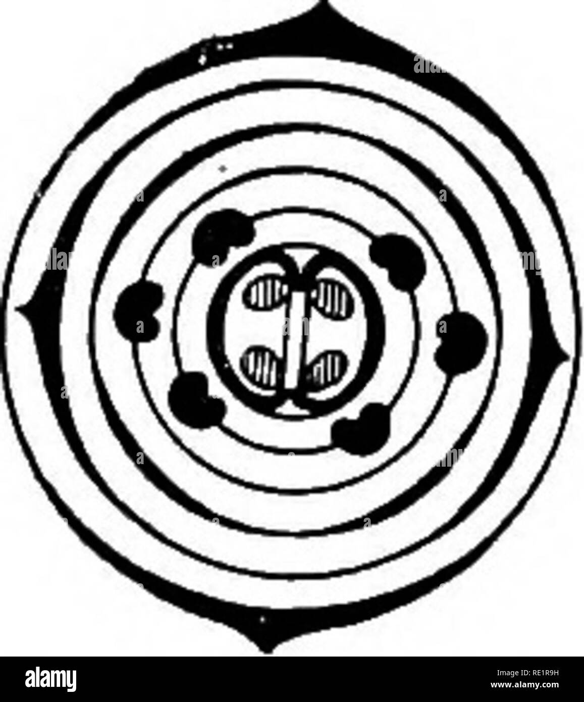 . A manual of Indian botany. Botany. Fig". 98.—Floral Diagrrams ...