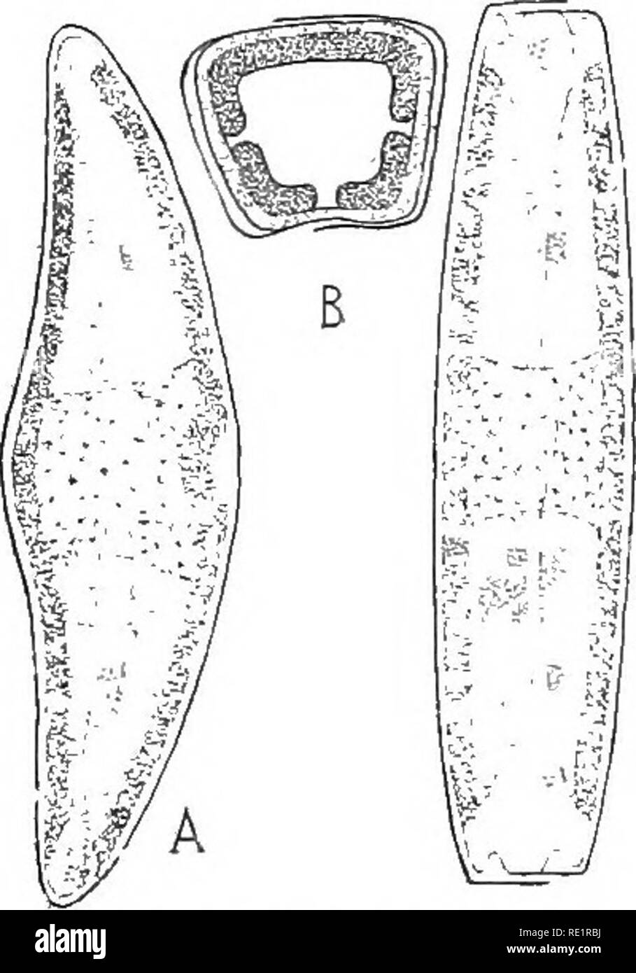 Valve cover Black and White Stock Photos & Images - Alamy