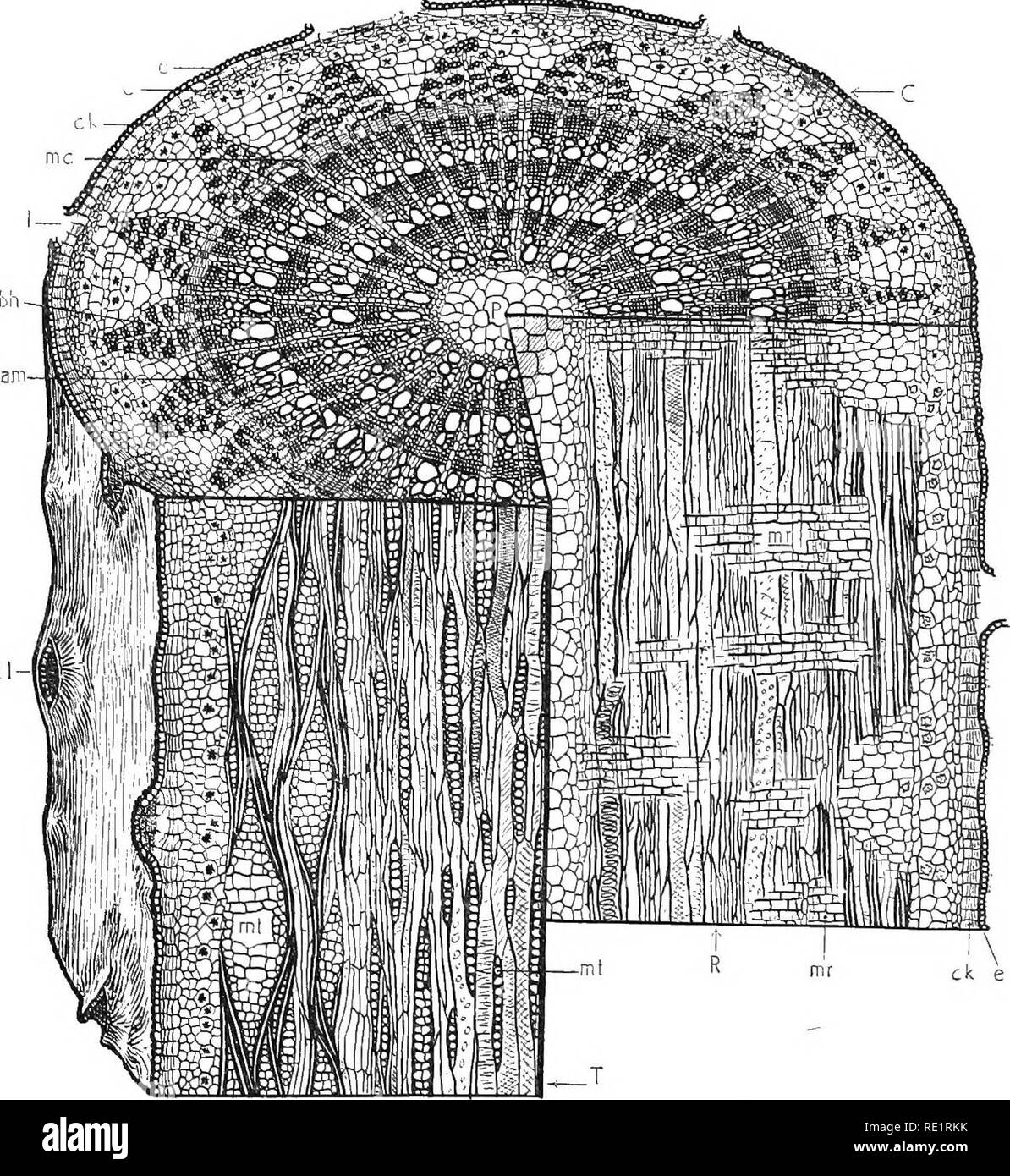 . Nature and development of plants. Botany. NATURE OF PLANTS 93 drought ...