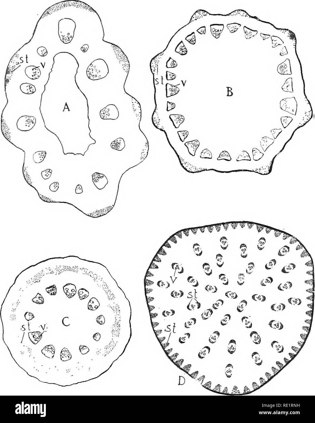 Concave and convex surfaces Black and White Stock Photos & Images - Alamy