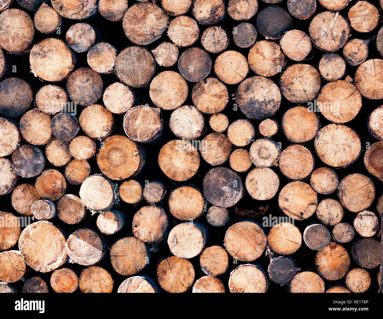 Wood logs background Stock Photo - Alamy