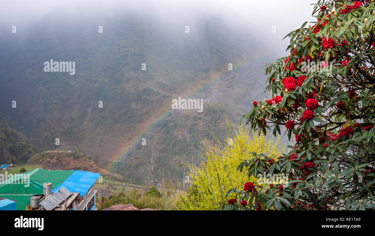 Nepalese forest hi-res stock photography and images - Alamy