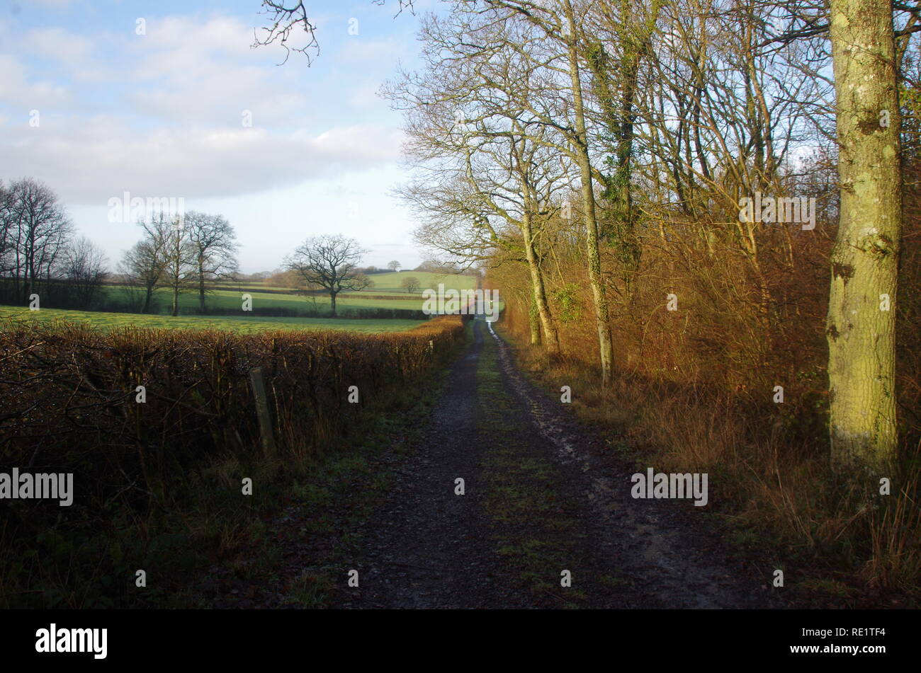 The Macmillan Way. Long-distance trail. Somerset. England. UK Stock ...