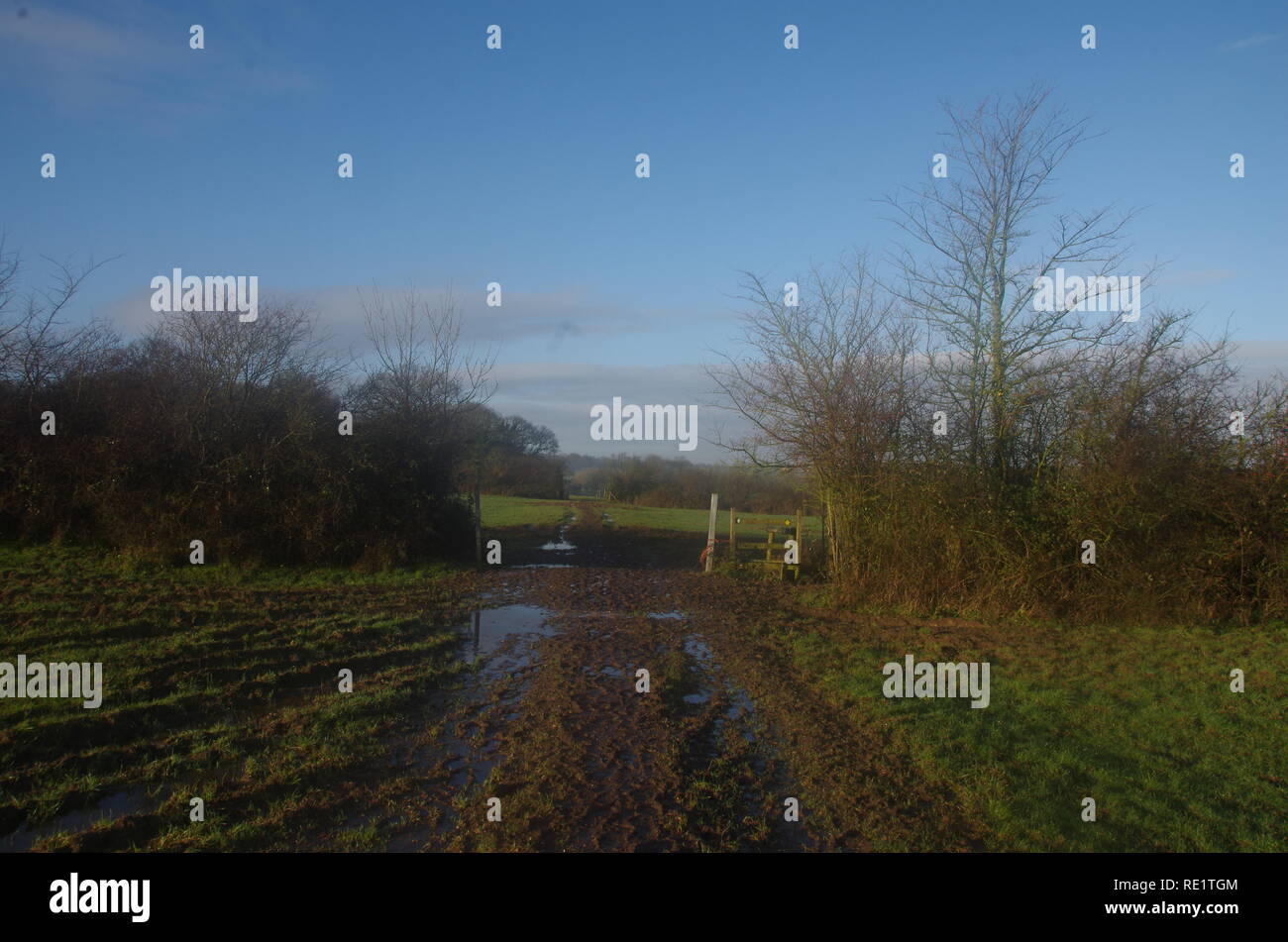 The Macmillan Way. Long-distance trail. Somerset. England. UK Stock ...