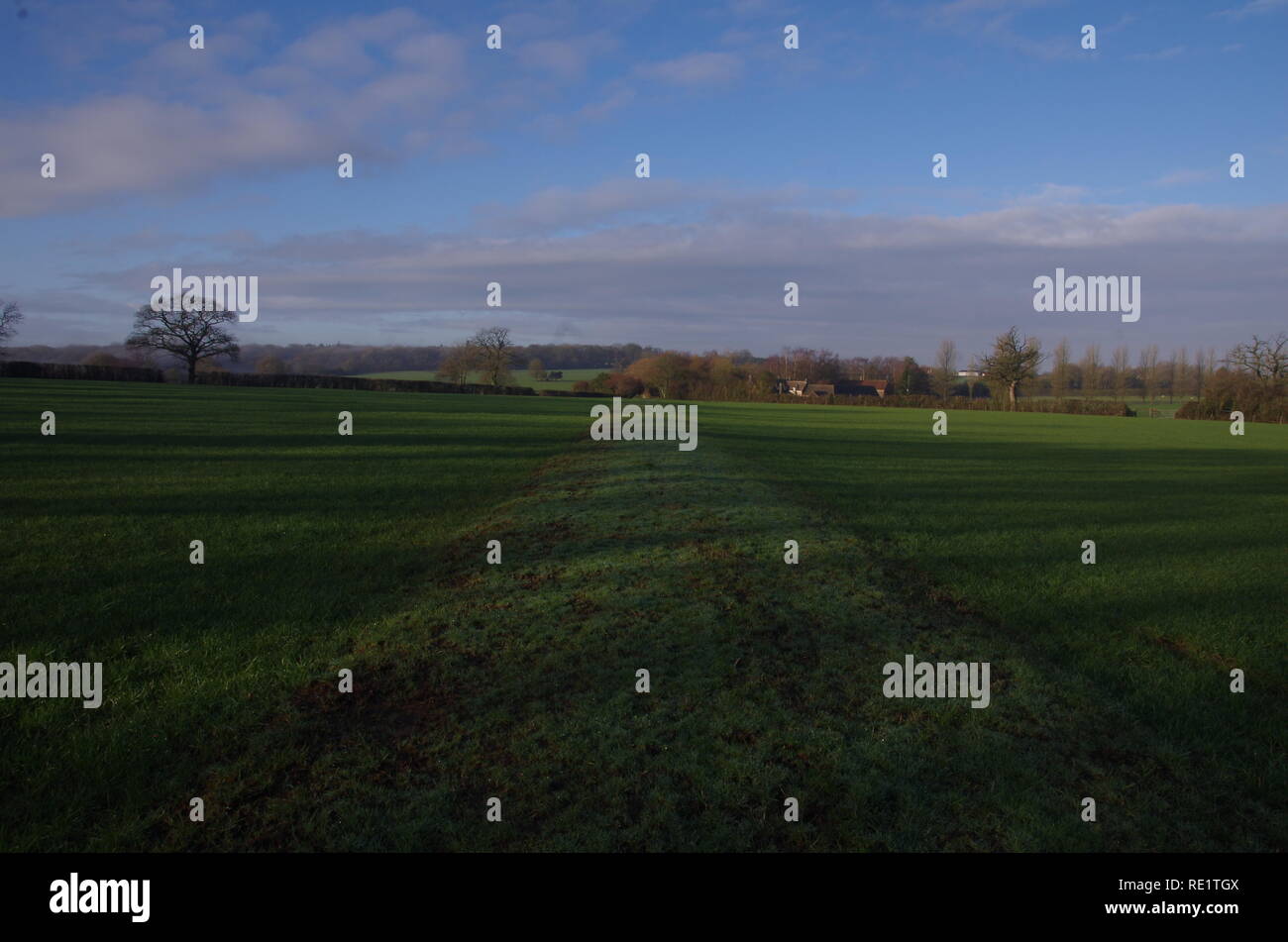 The Macmillan Way. Long-distance trail. Somerset. England. UK Stock ...