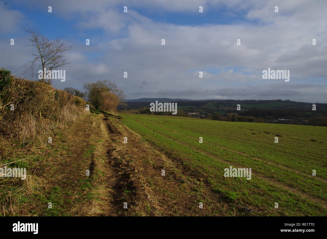 The Macmillan Way. Long-distance trail. Somerset. England. UK Stock ...