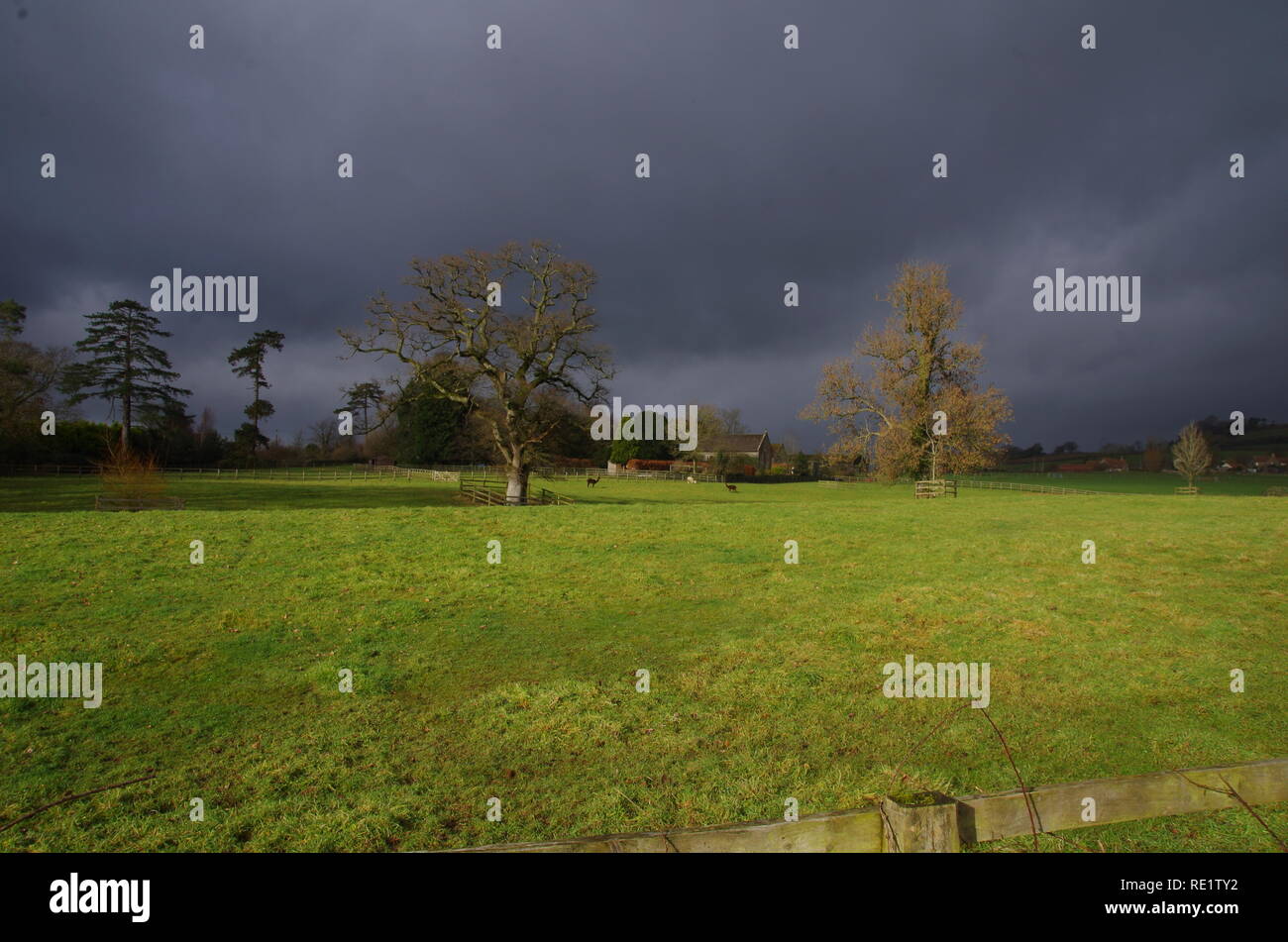 The Macmillan Way. Long-distance trail. Somerset. England. UK Stock ...