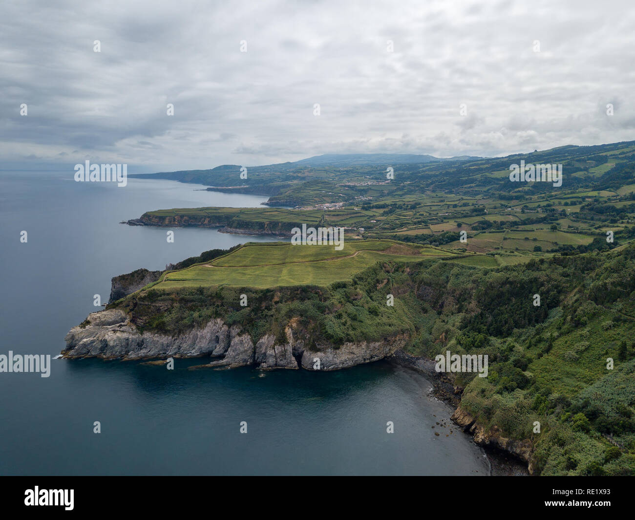 Drone view of amazing Azores landscape. Tea farm in the green fields on ...