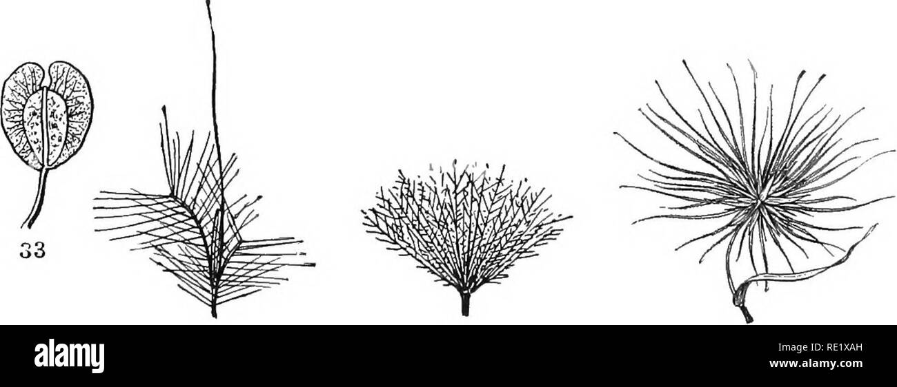 Dispersal by explosion hi-res stock photography and images - Alamy