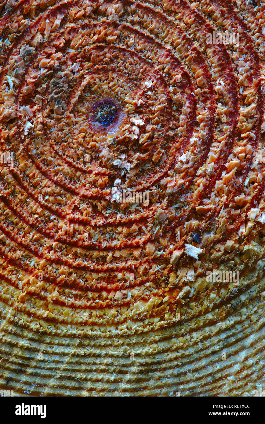 Concentric circles nature hi-res stock photography and images - Alamy