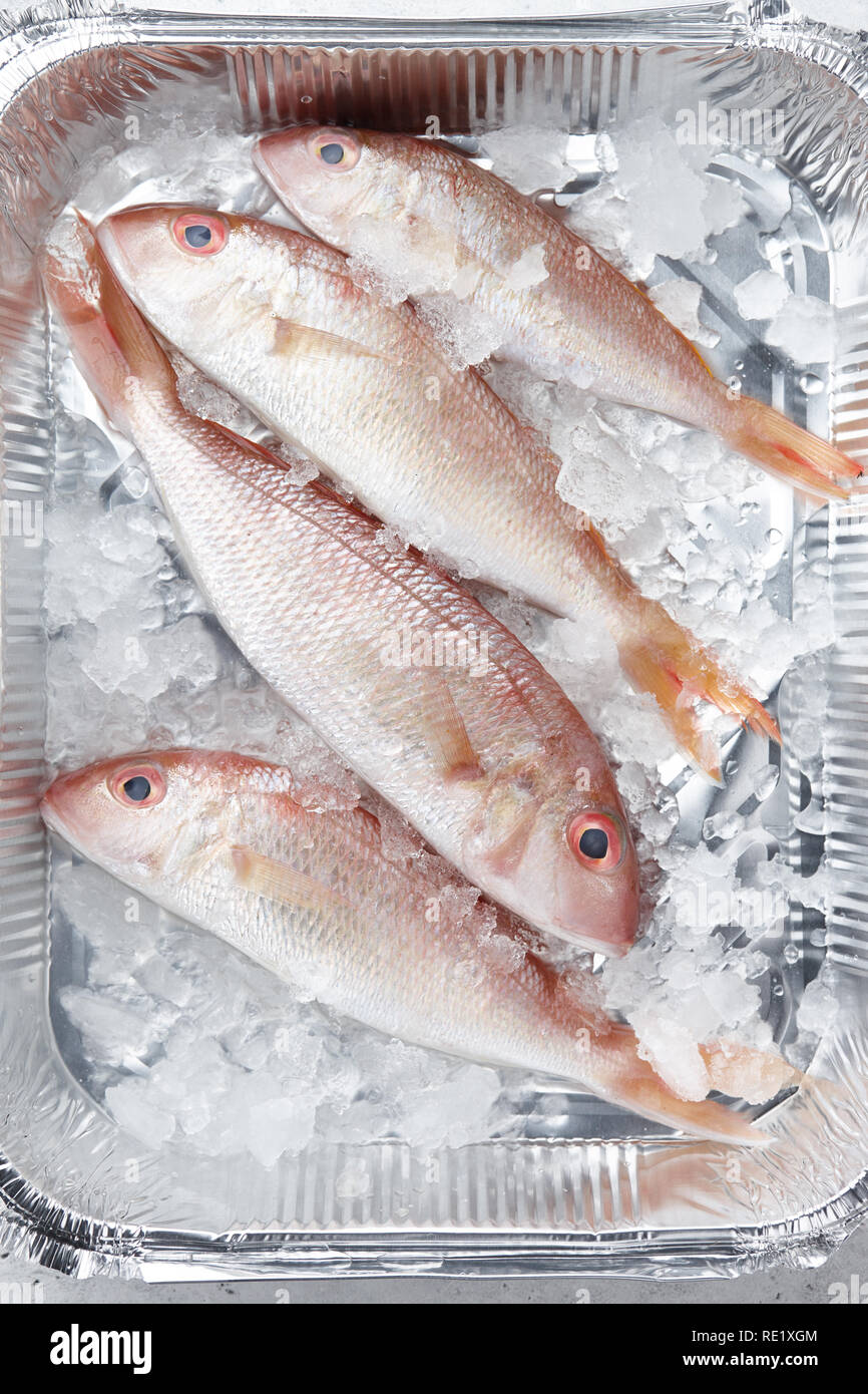 Fresh red mullet fish with ice in aluminium foil box, top view. Food ...