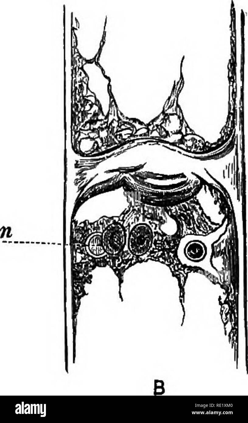 800 900 Black and White Stock Photos & Images - Alamy